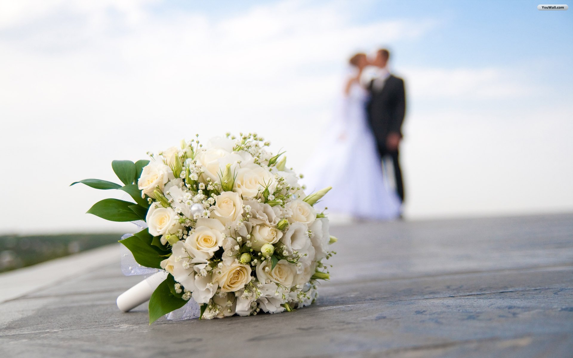 Saturday Special - What is your dream wedding? - The Travelling Squid