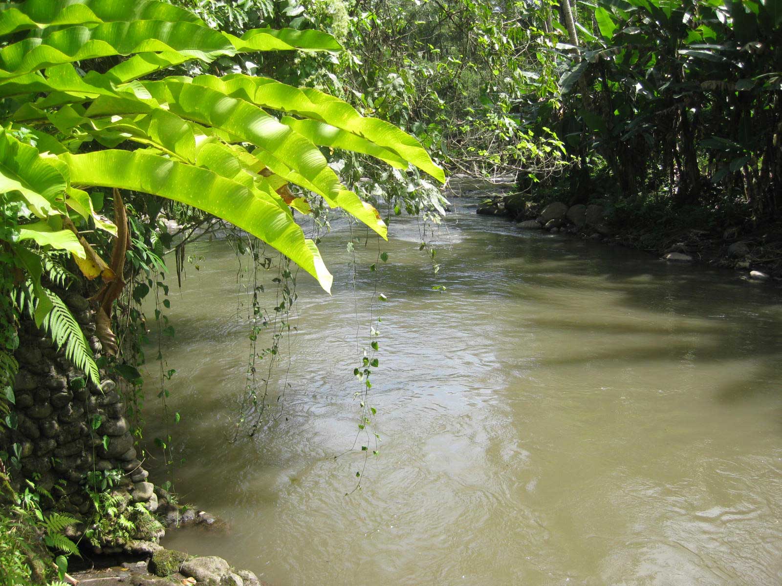 Photo story - Trekking in Ubud Bali at Penestanan and Sayan (Part 1 ...