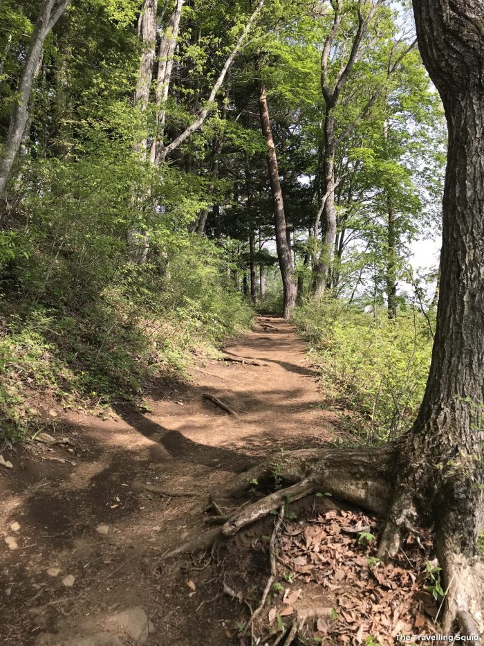 Our 10 minute hike to the summit of Mount Tenjo to view Mount Fuji ...