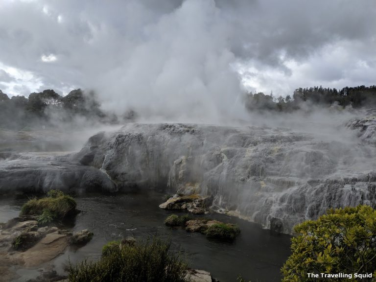 Three reasons to visit Te Puia in Rotorua New Zealand - The Travelling ...